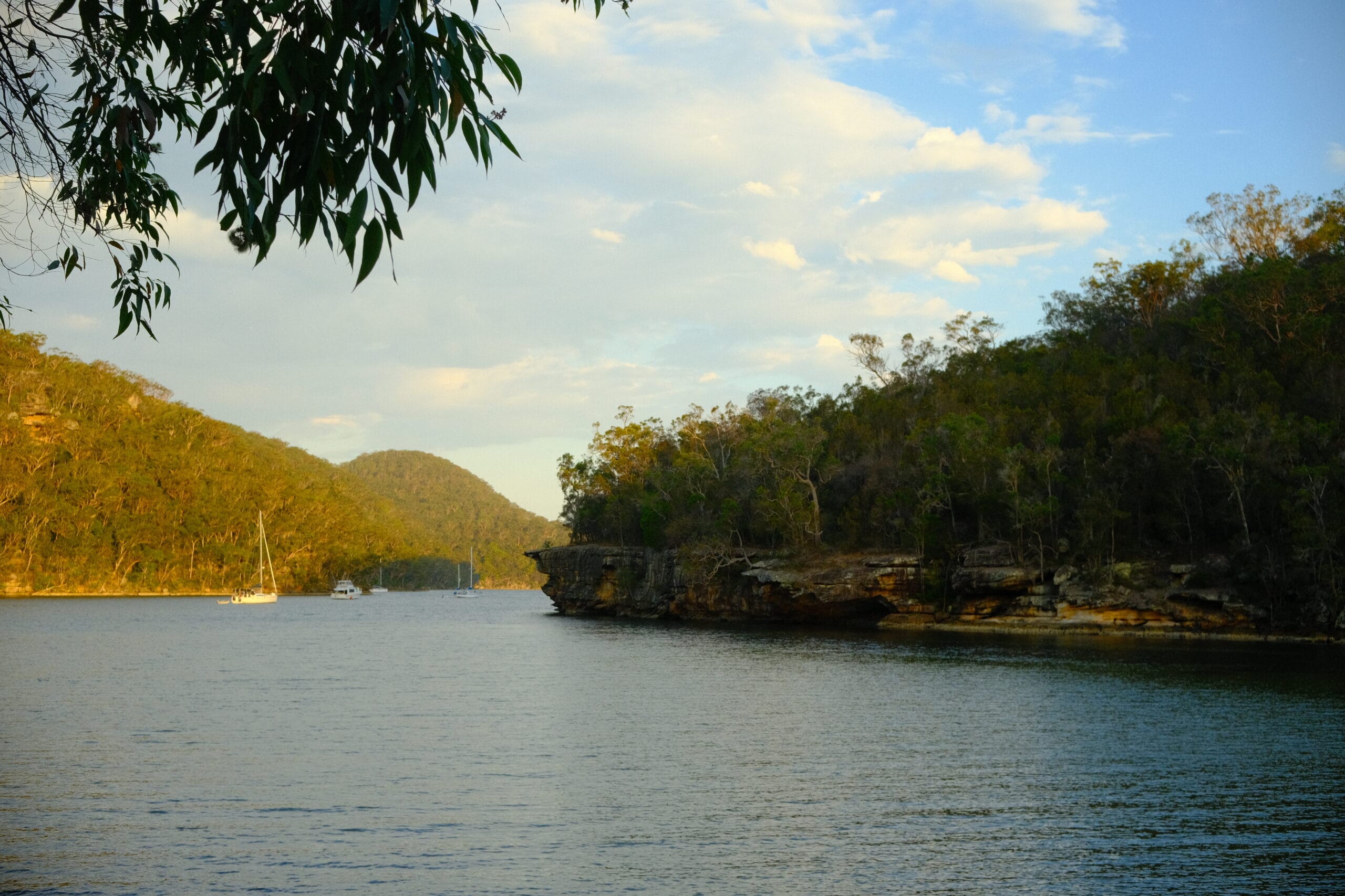 Beautiful Wild Swimming at Sydney’s Hidden Gem – Jerusalem Bay ...